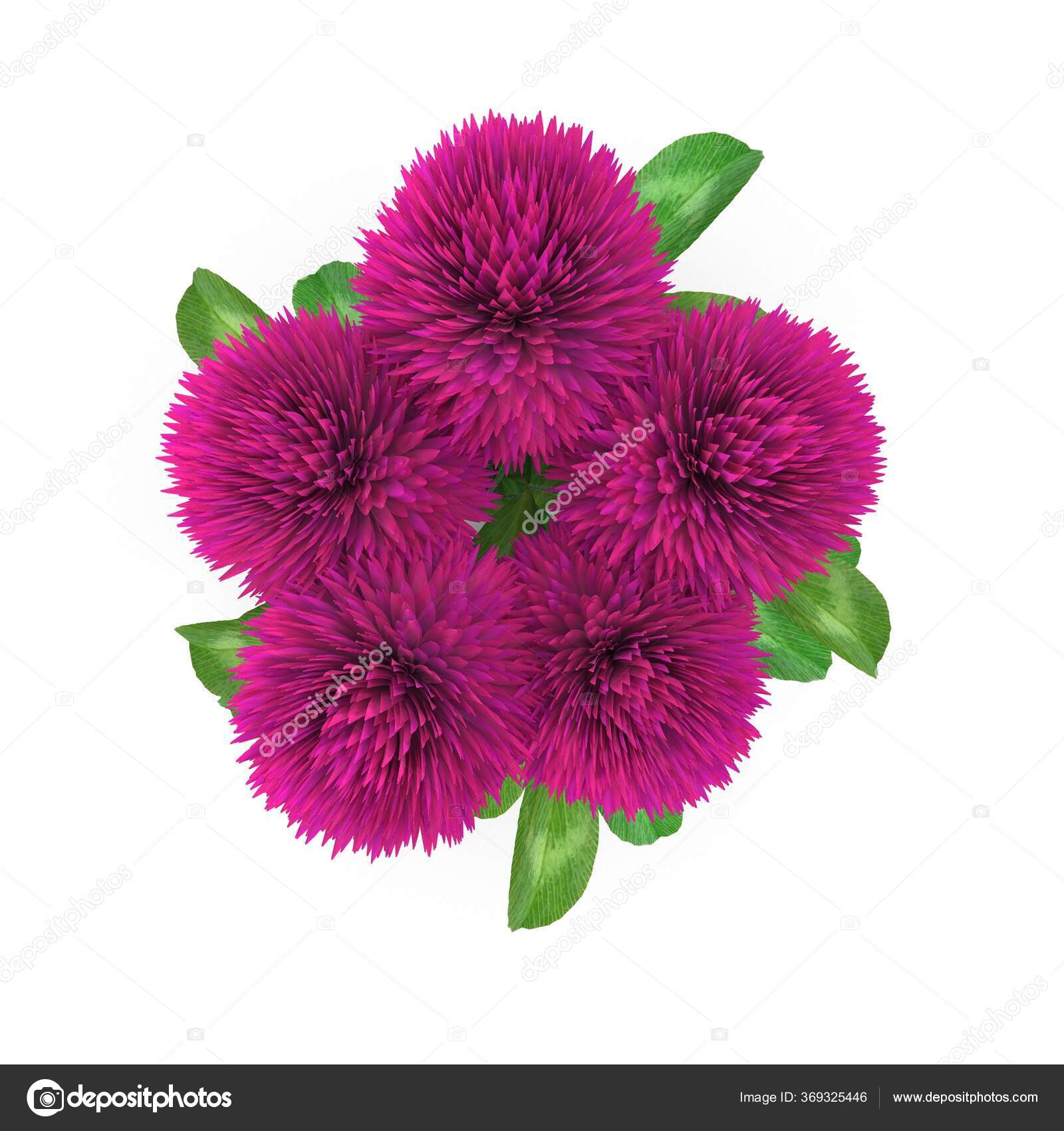 Photorealistic Highly Detailed Visualization Clover Render Stock Photo ...