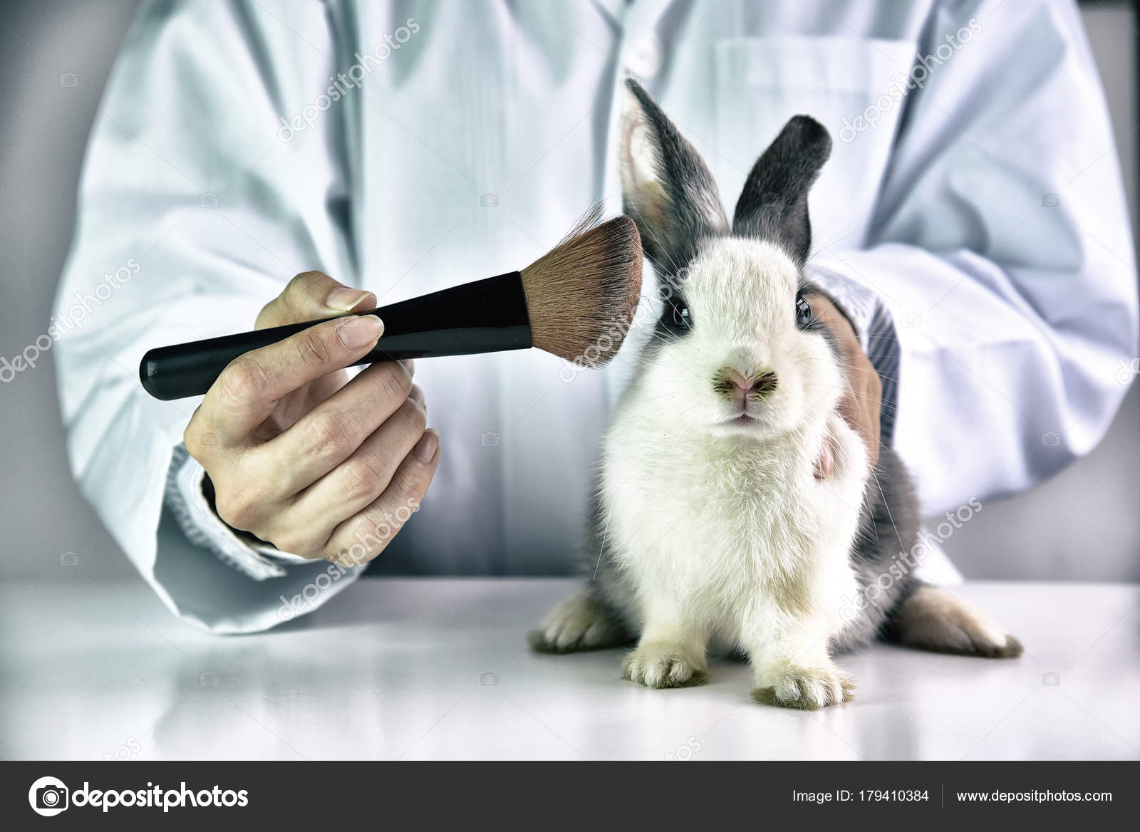 Animal Tested Makeup | Saubhaya Makeup