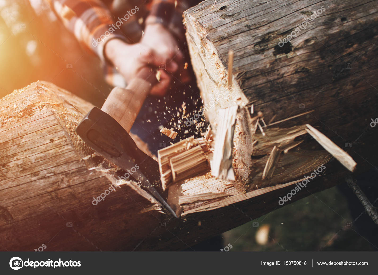 Strong lumberjack chopping wood in the forest, chips fly apart. Lens ...