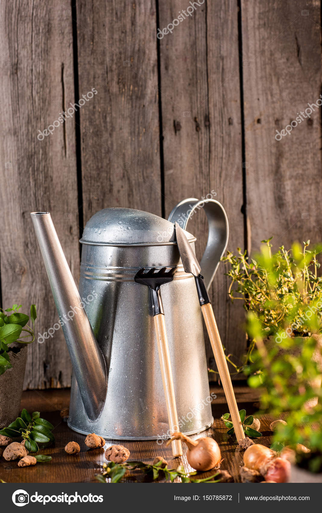 Watering can and garden tools Stock Photo by ©AlexNazaruk 150785872