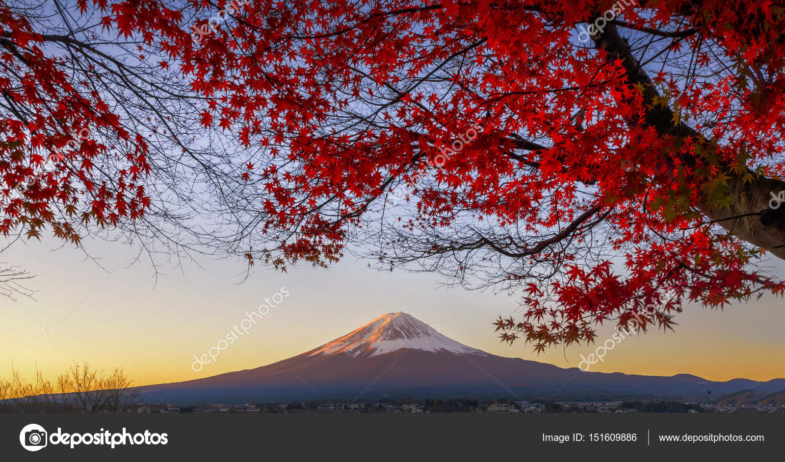 Fuji mountain and Red Maple Tree at Kawaguchiko Lake, Japan — Stock ...