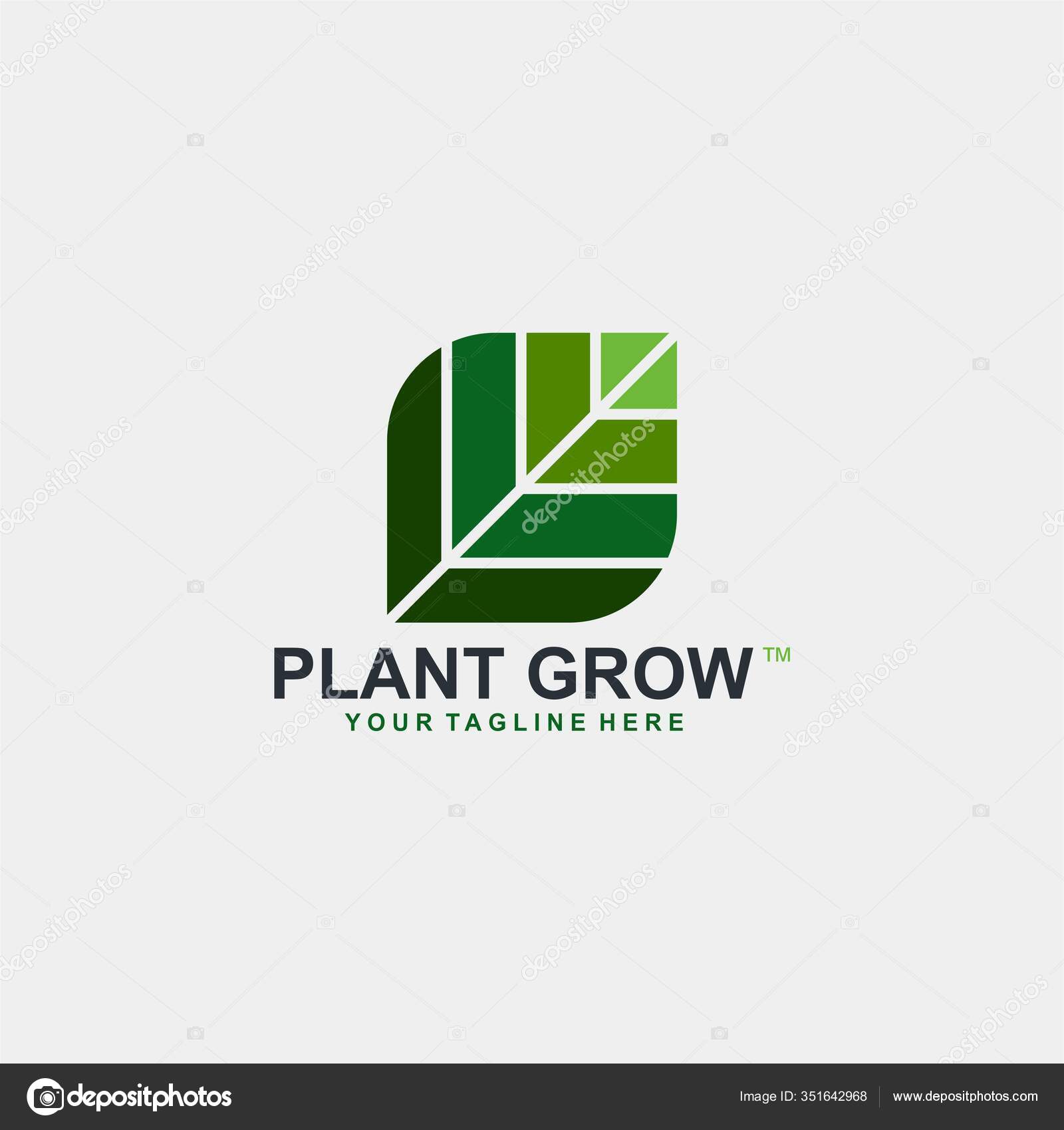 Leaf Green Express Logo Design Vector Stock Vector Image by ...