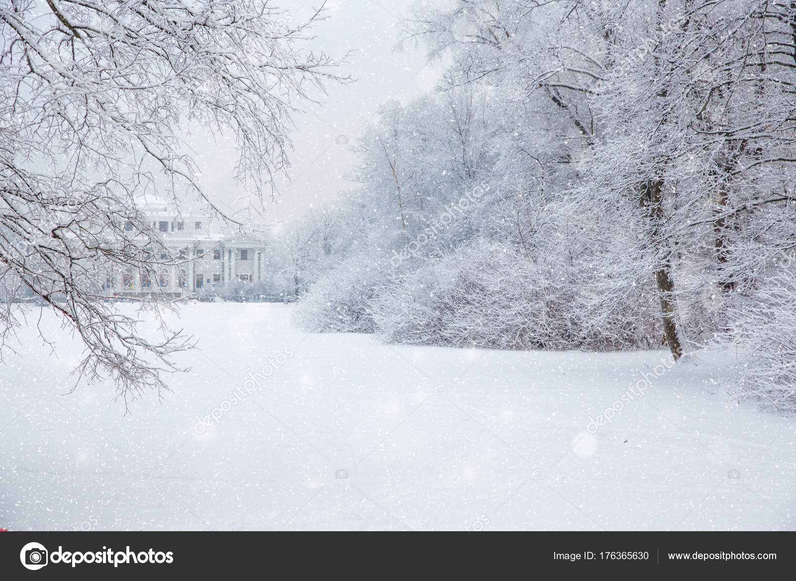 Winter Blizzard Scenes Backgrounds