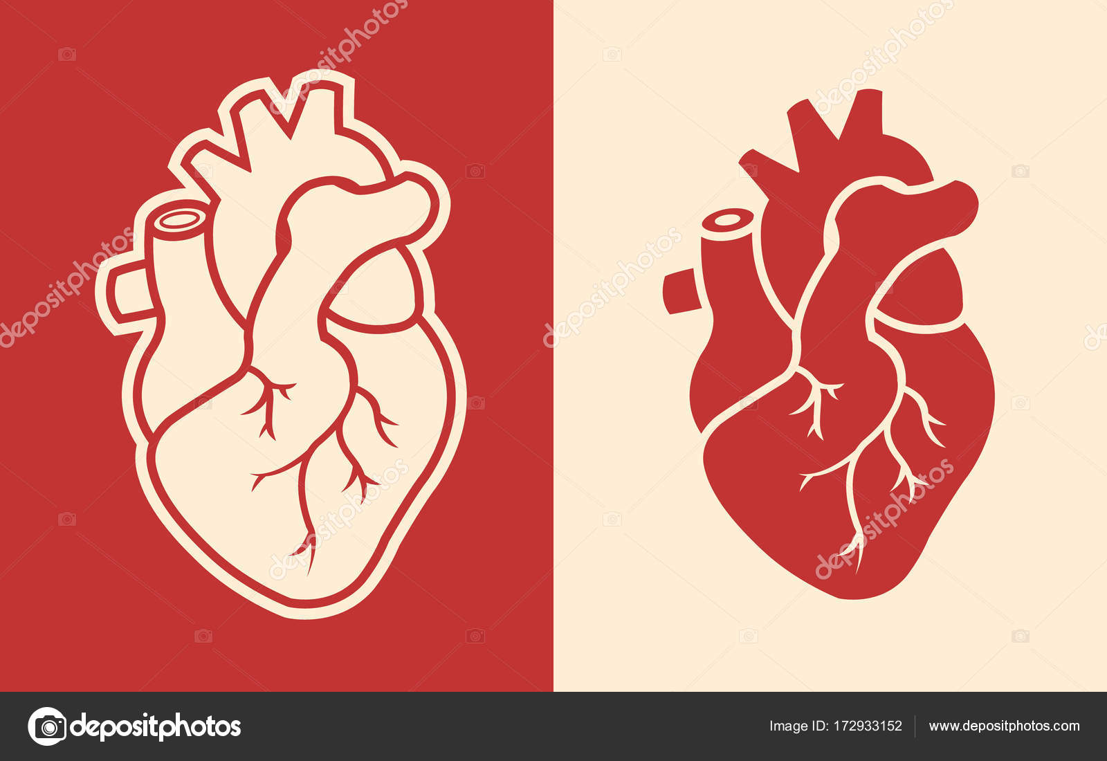 Human Heart Design Icon Stock Vector by ©Mictoon 172933152