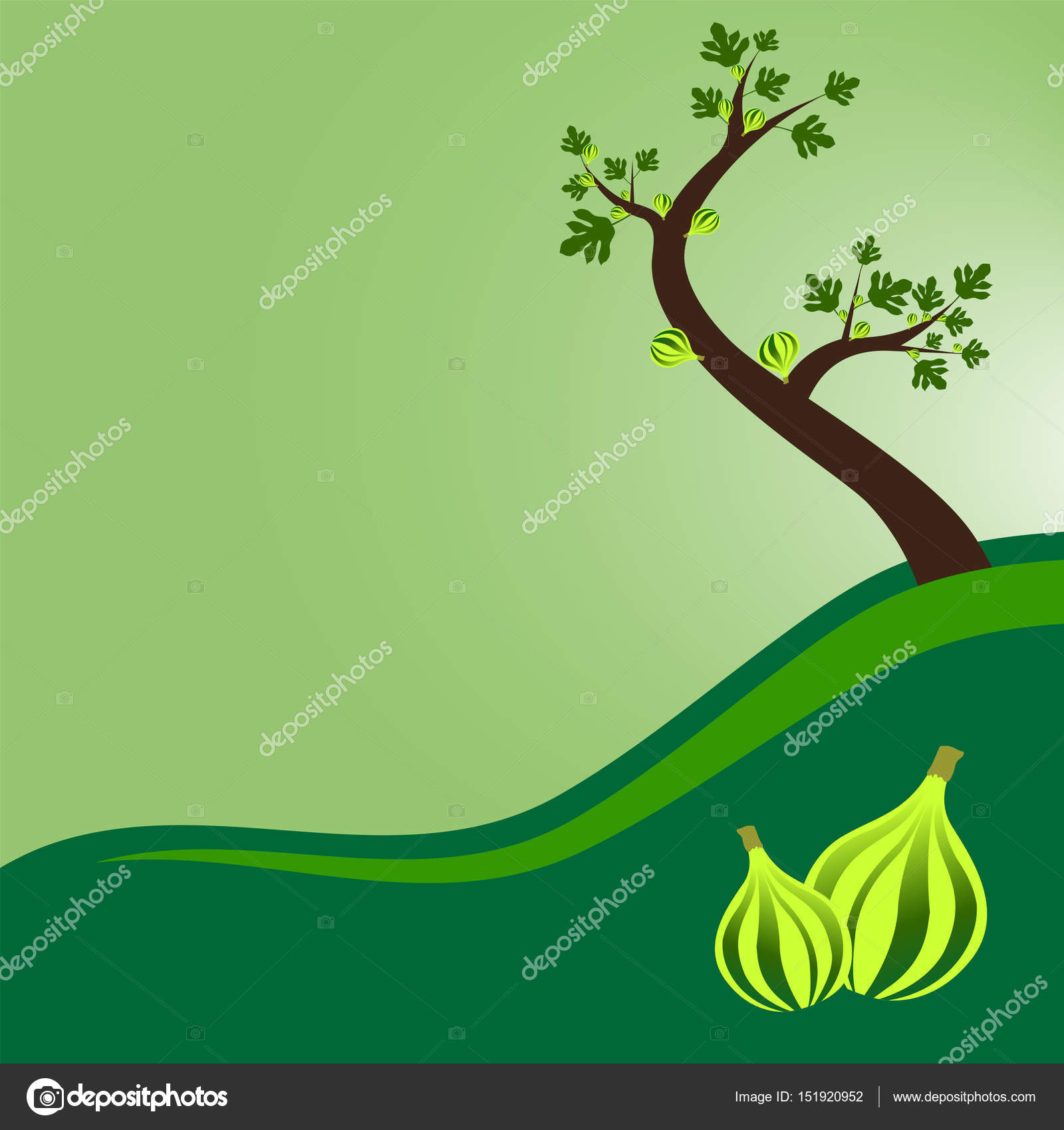 Fig tree with leaves and fruits, Vector illustration. Stock Vector by ...