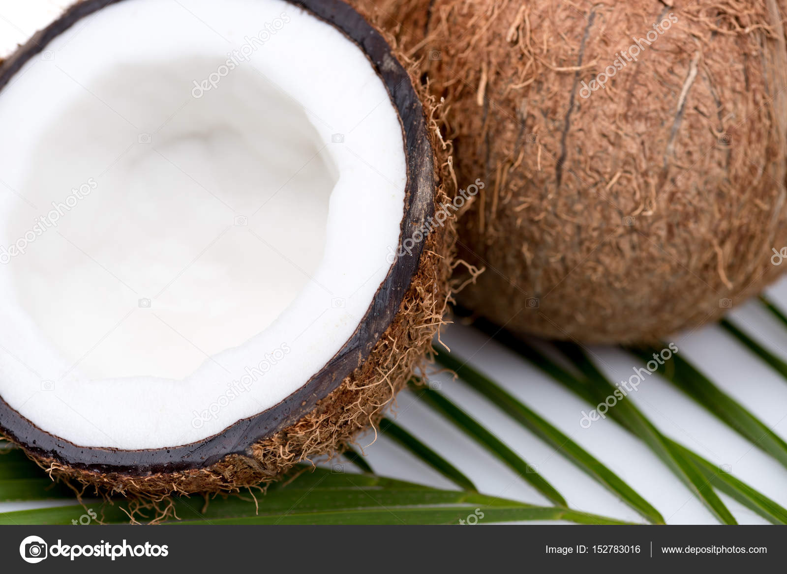 Organic ripe coconuts — Stock Photo © alebloshka #152783016