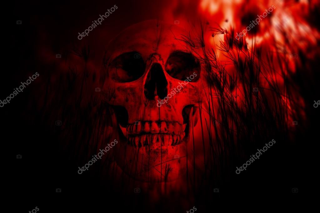 Lidská lebka v lese, horor pozadí pro Halloween koncept a filmový ...