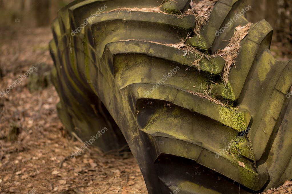 Neumático grande y viejo, violación del equilibrio ecológico de la ...