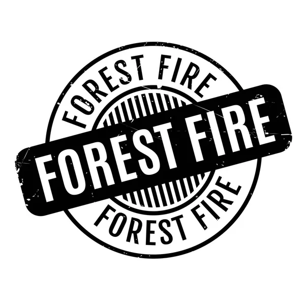 ᐈ Gator stock backgrounds, Royalty Free backwoods pics | download on ...