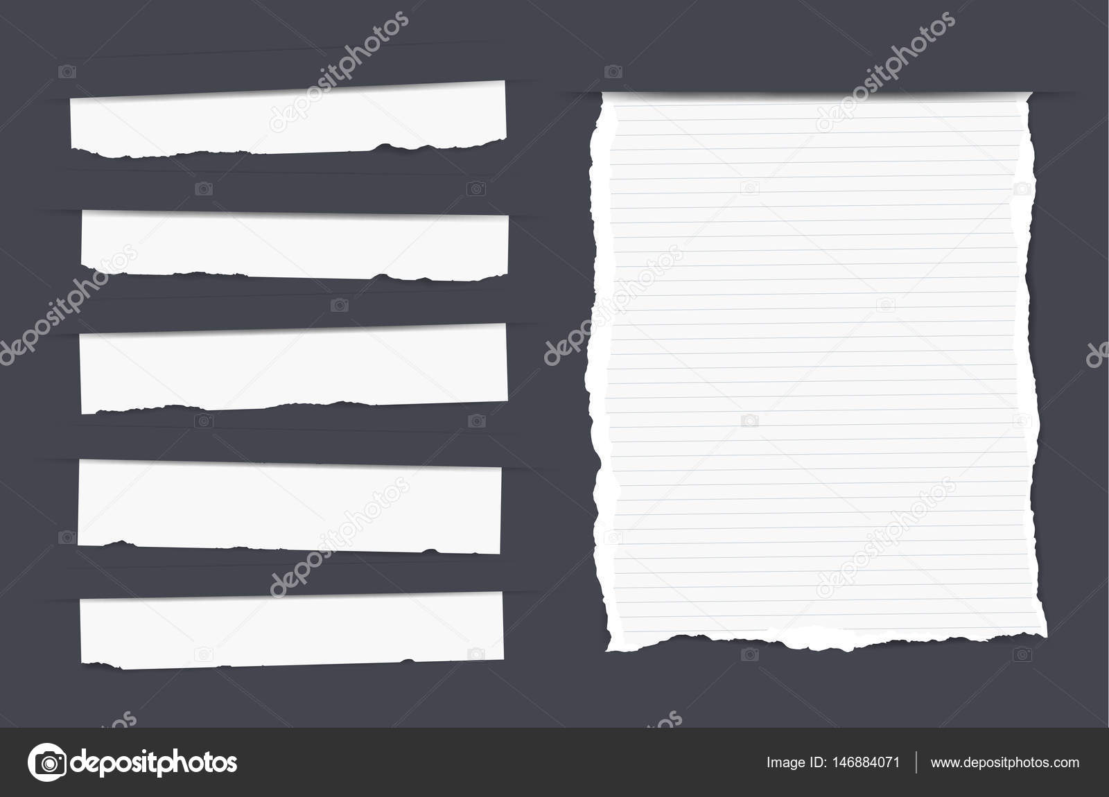 Pieces of torn white blank and ruled note, copybook, notebook strips ...