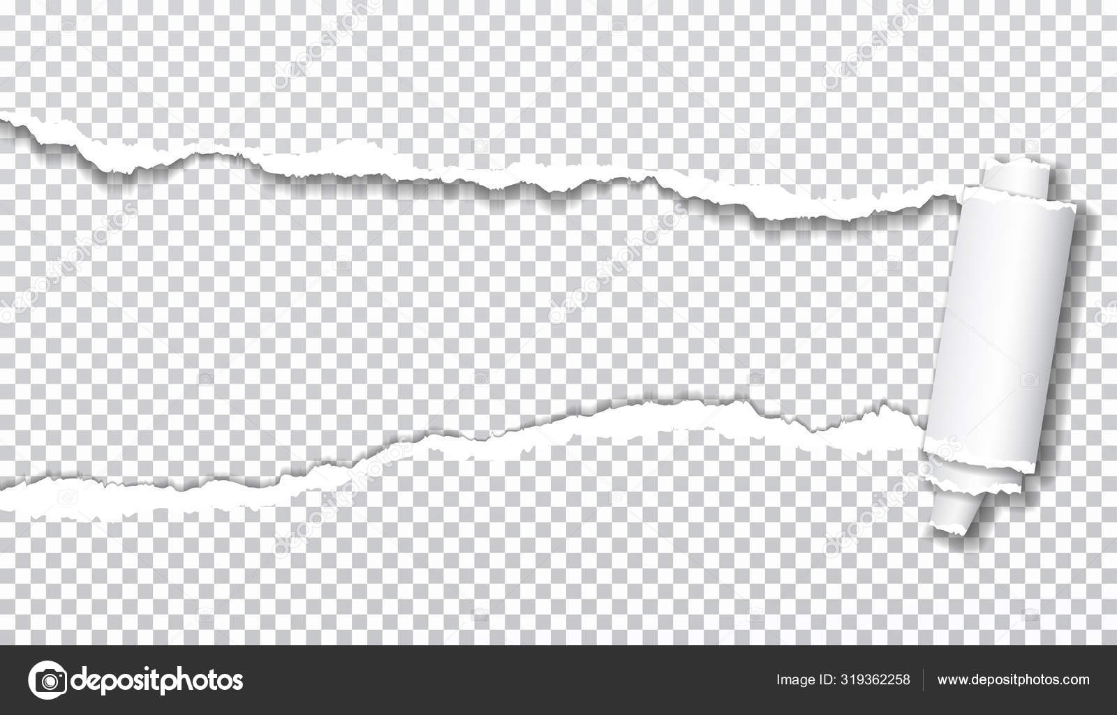 Rolled and ripped white notebook paper sheet is on squared background ...