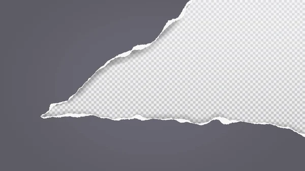 Gray Ripped Open Paper Transparent Background Torn Paper Sheet Paper ...