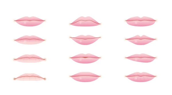 Lip type female body parts — Stock Vector © alphabetMN #155355994