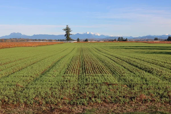 Land use Stock Photos, Royalty Free Land use Images | Depositphotos