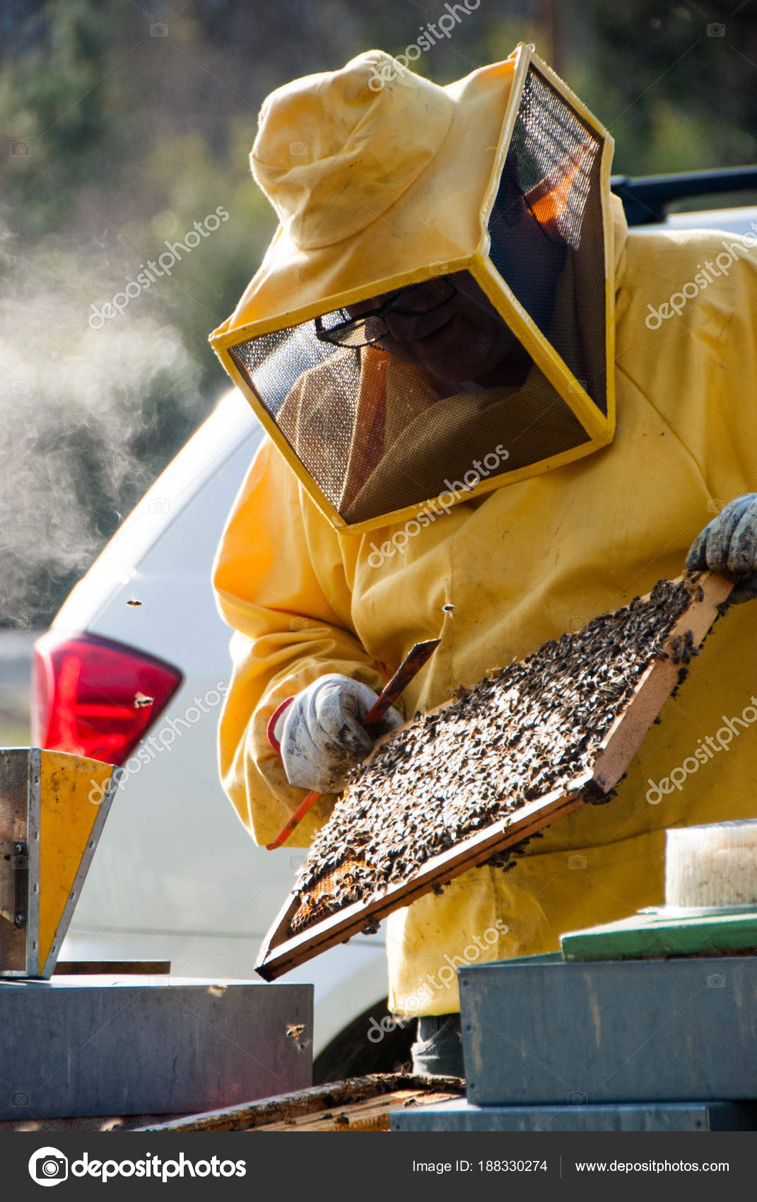 Beekeeper with his bees — Stock Photo © MyClicks #188330274
