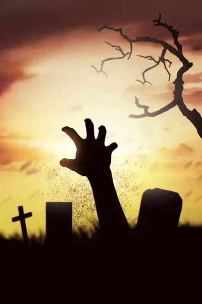 corpse raising hand from grave on cemetery - Stock Image - Everypixel
