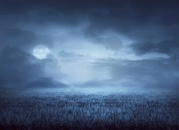 Field at night Stock Photos, Royalty Free Field at night Images ...