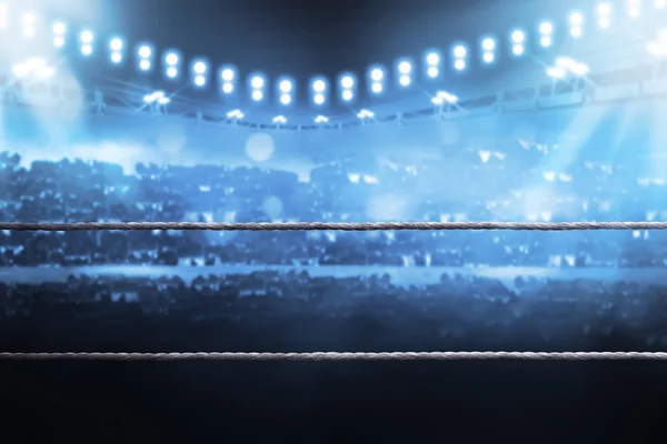 Boxing arena view - Stock Image - Everypixel