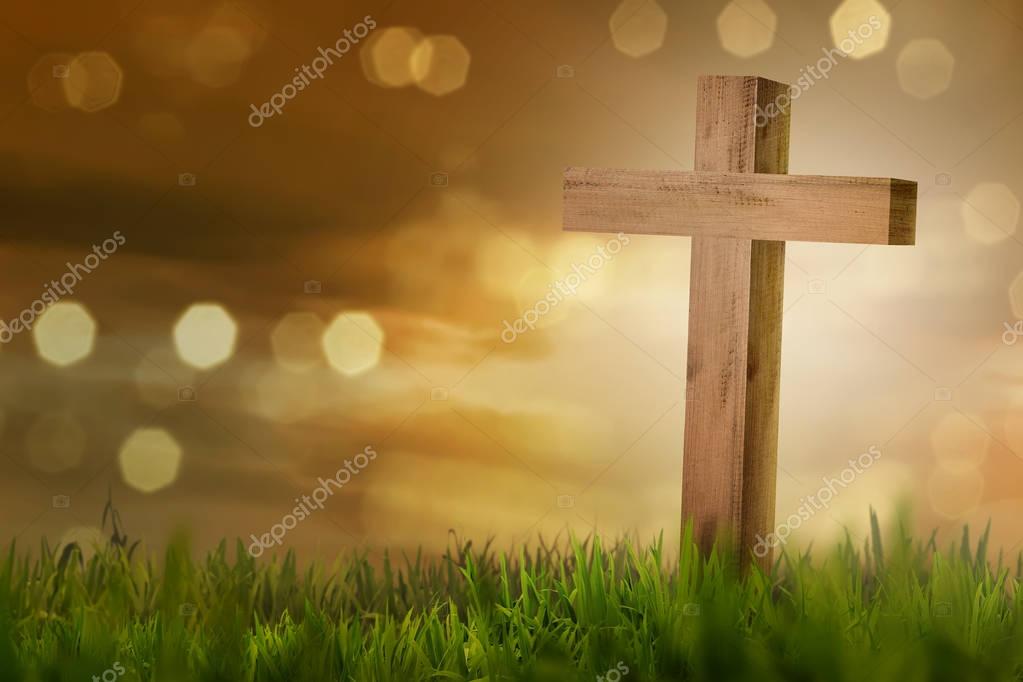 Holy Cross Field Green Grass Blur Light Background — Stock Photo ...