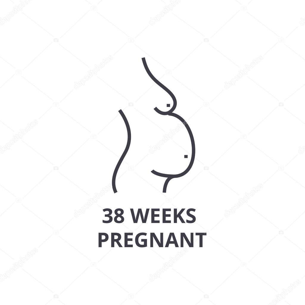 38 semanas de embarazo icono de línea delgada, signo, símbolo ...