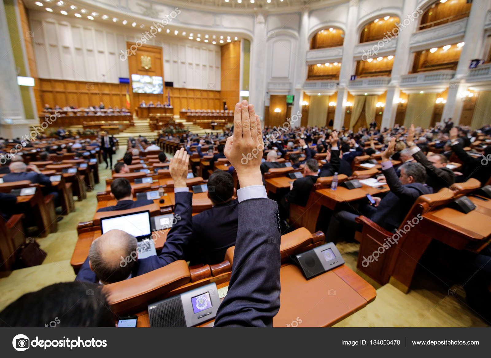 Voting Raising Hands