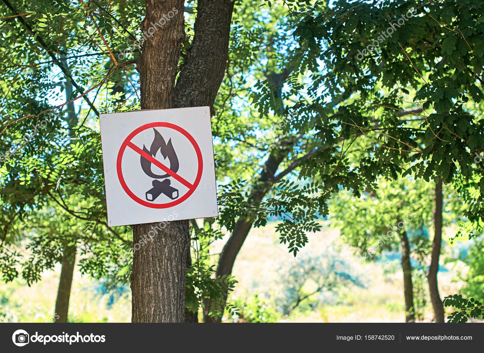 No fire sign in a summer forest — Stock Photo © oleksandrberezko #158742520
