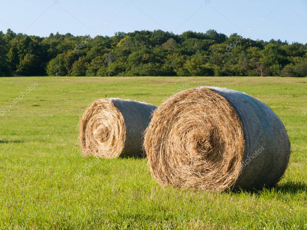 Two hay bales harvested on summer — Stock Photo © scigelova #157288550