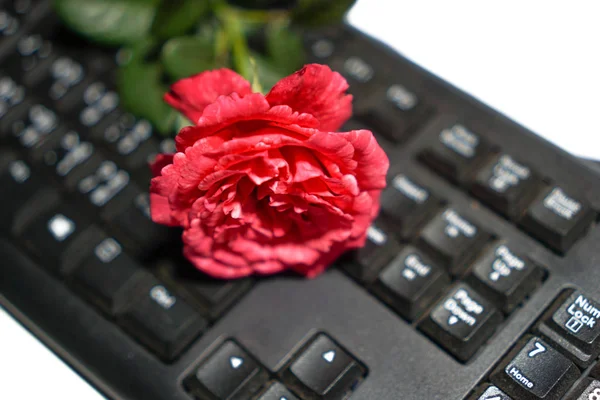 Red rose on keyboard of old Typing machine Stock Photo by ©inaquim 6116614