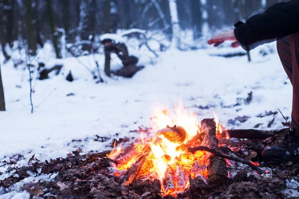 Fire burns in the snow in the woods, a background of snow covered trees ...