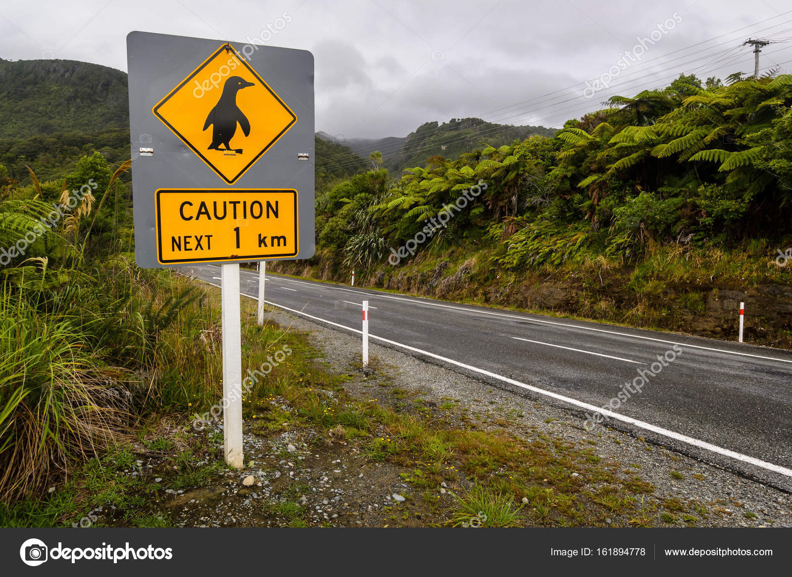 Caution Penguins sign in NZ — Stock Photo © DeyanD #161894778