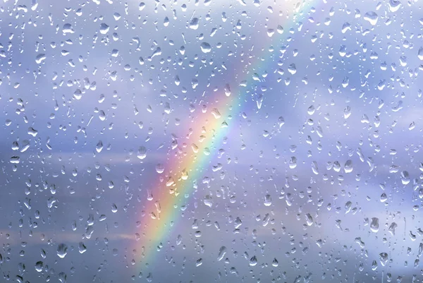 Rainbows In The Rain