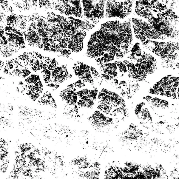 24,009,730 Bacillus texture Vector Images | Depositphotos