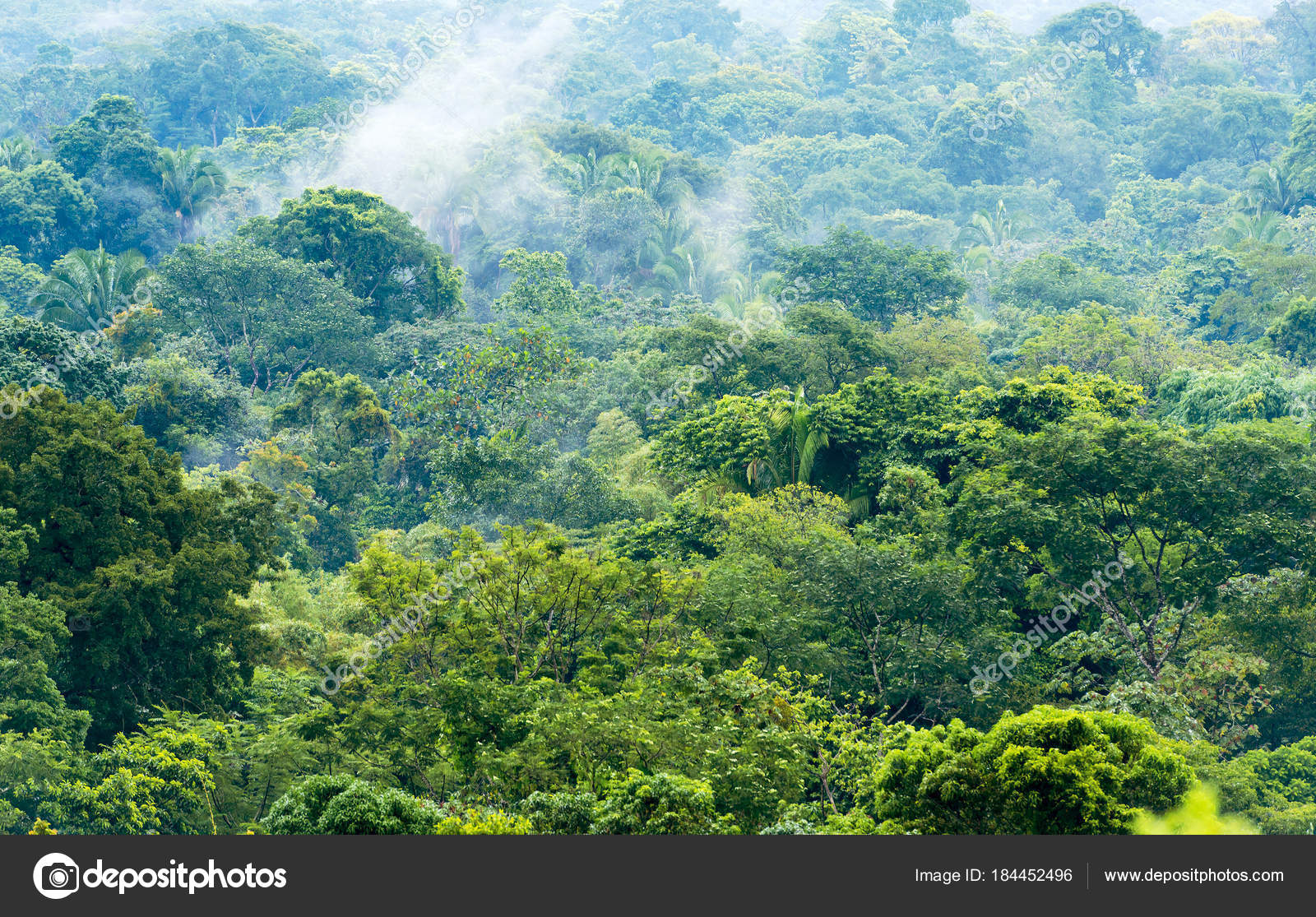 Paisaje de la selva de México: fotografía de stock © THPStock ...