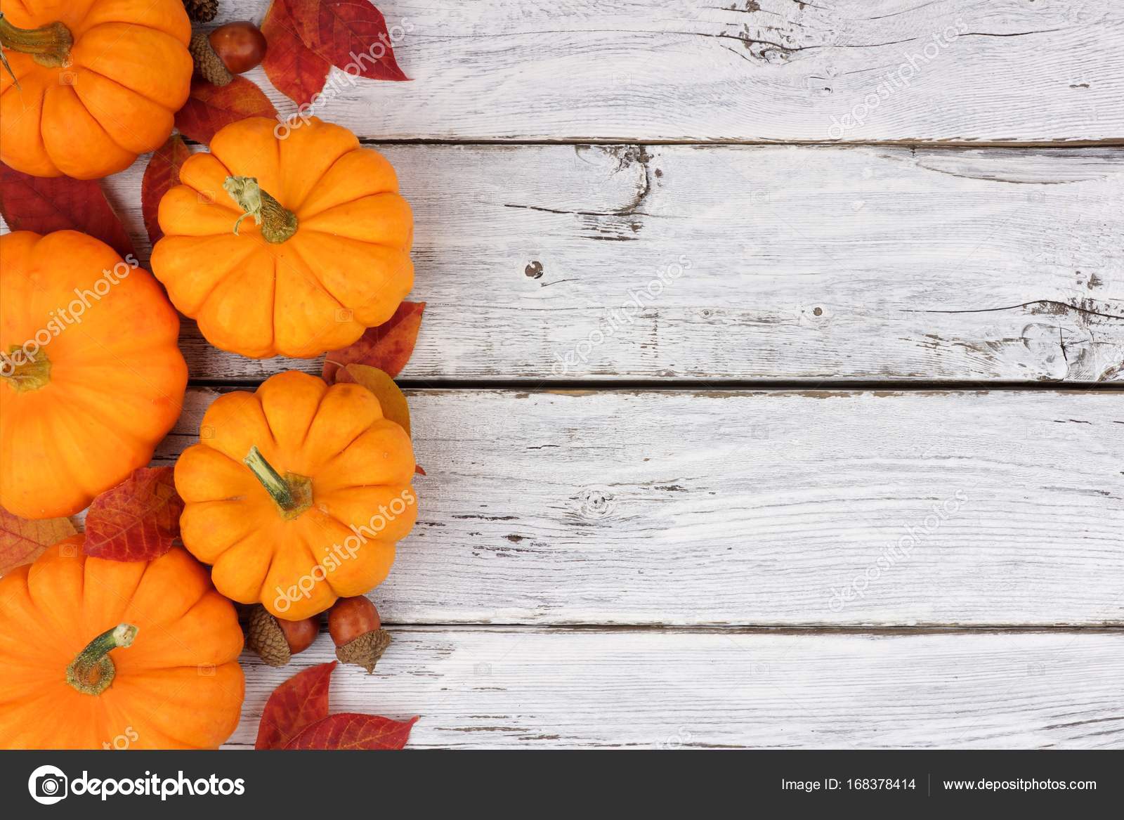 Pumpkin and leaves side border over rustic white wood Stock Photo by ...