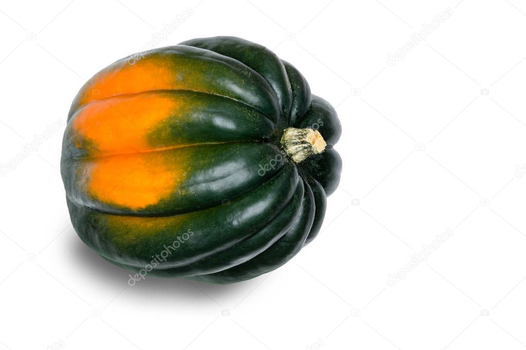 Single Acorn Squash on White Background — Stock Photo © oocoskun #130539644