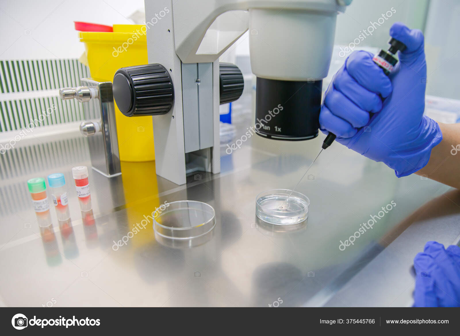 Embryology Laboratory Biotechnology Vitro Fertilization Cells Science ...