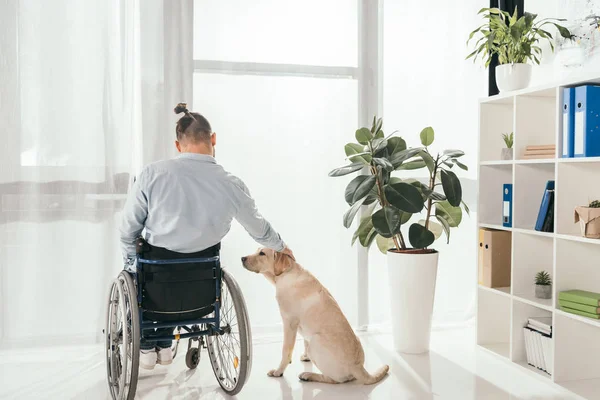 Disabled Stock Photos, Royalty Free Disabled Images | Depositphotos