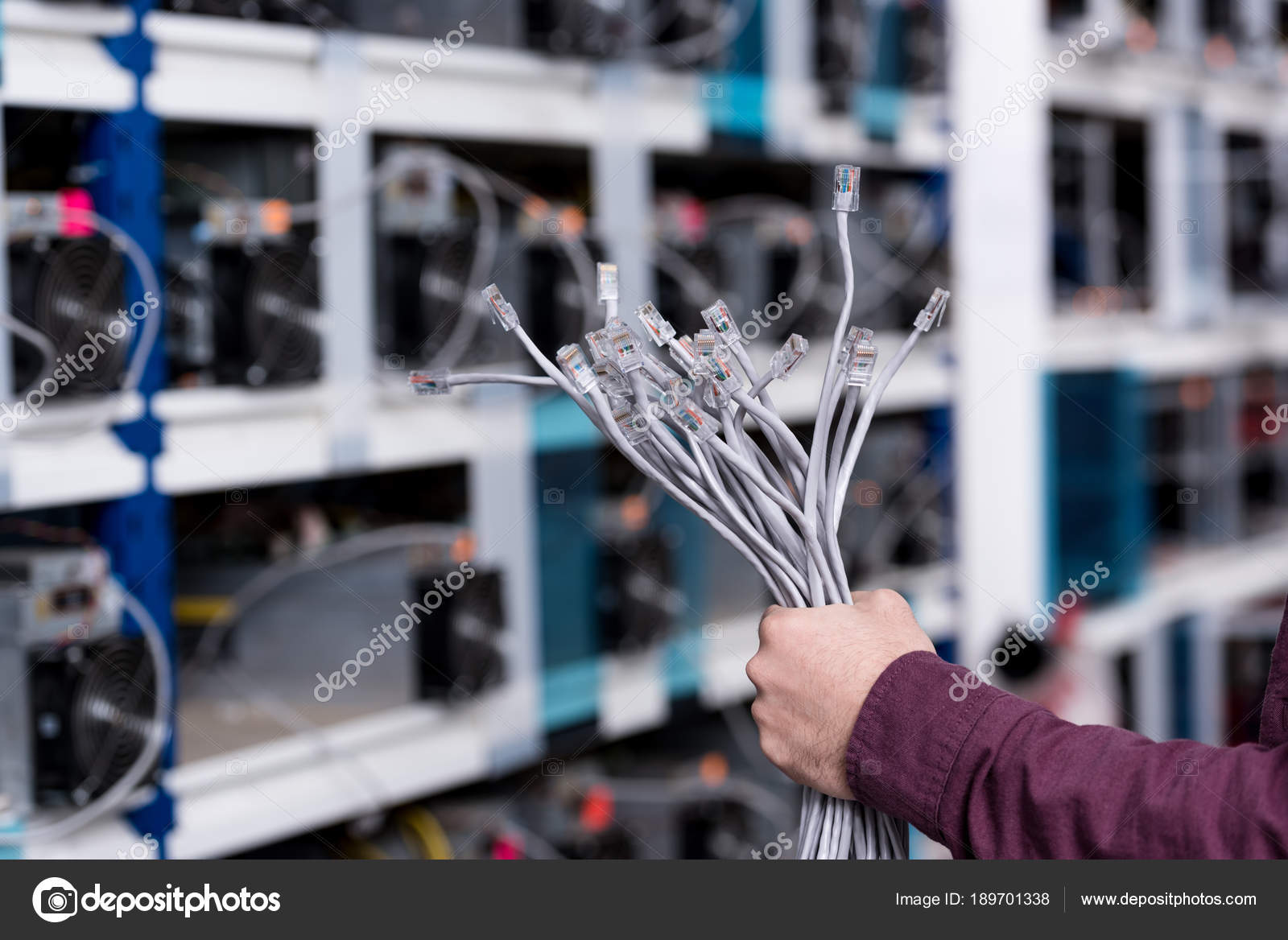 Cropped Shot Computer Engineer Holding Ethernet Wires Cryptocurrency ...
