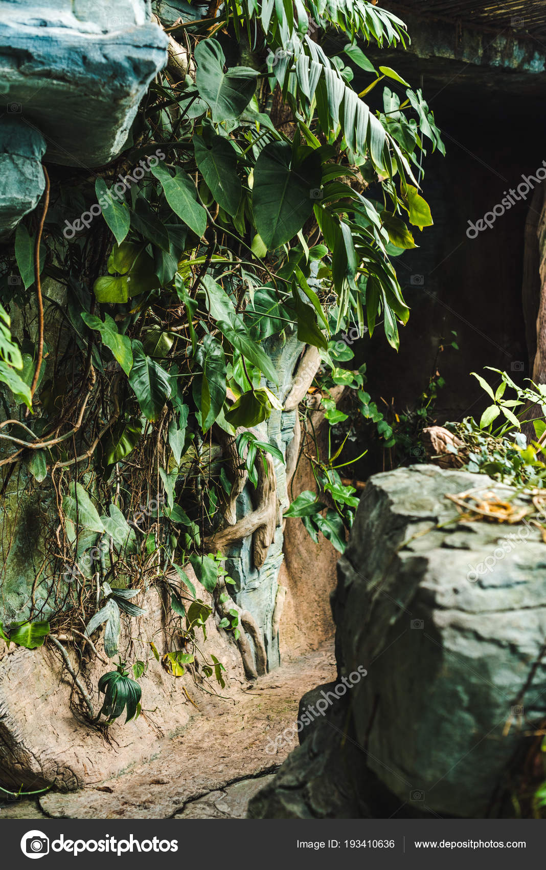 Scenic Shot Path Cave Jungle Covered Green Leaves — Free Stock Photo ...