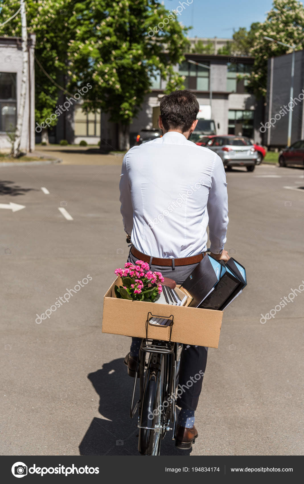 Rear View Manager Riding Bicycle Box Personal Stuff Trunk — Free Stock ...
