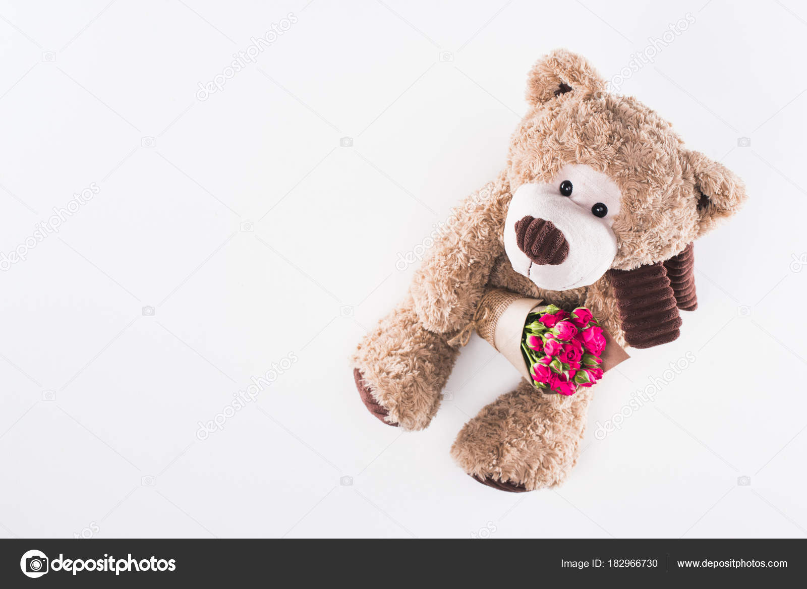 Top View Teddy Bear Bouquet Pink Roses Isolated White — Stock Photo ...