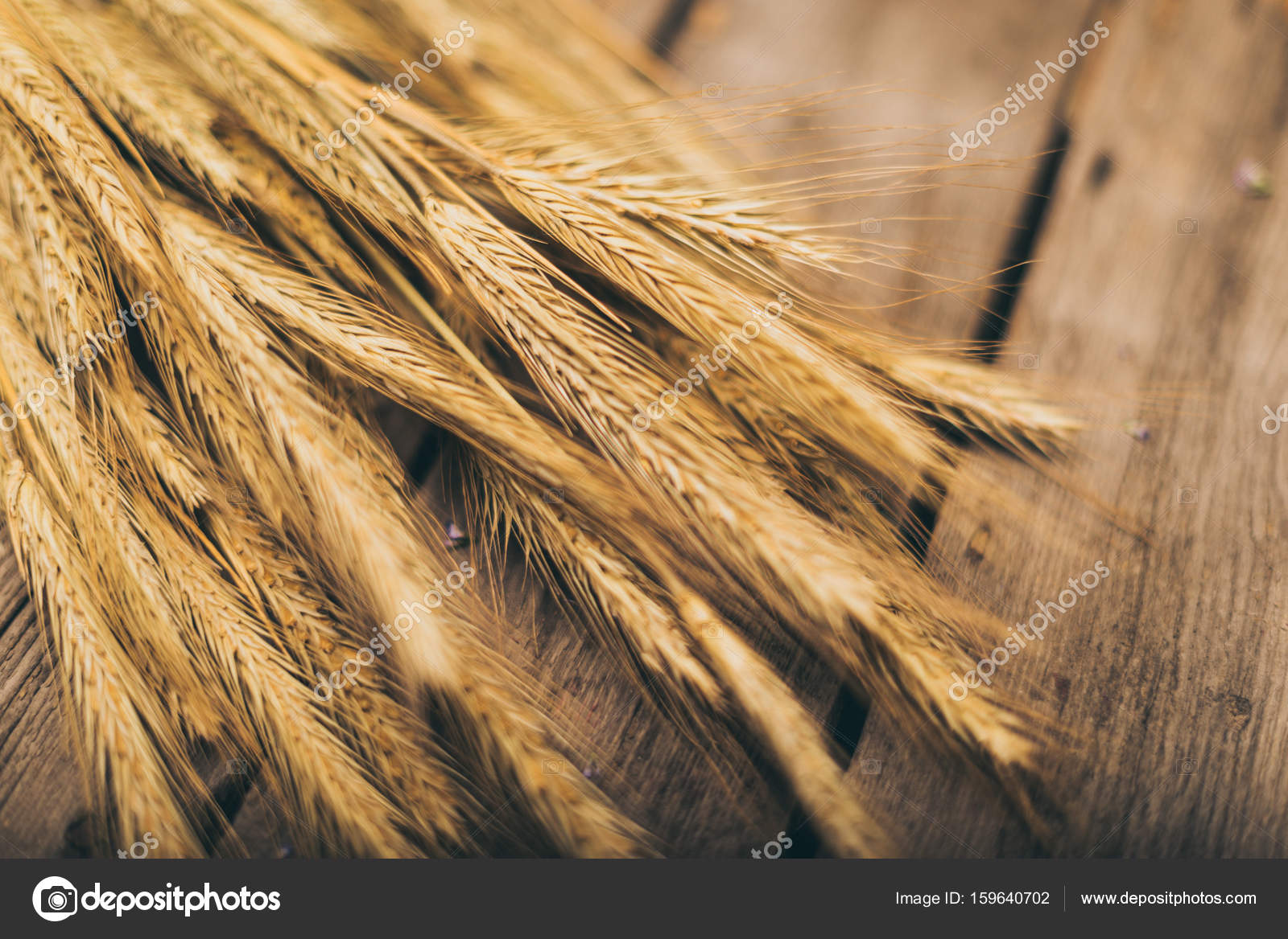 Ripe wheat on table — Stock Photo © AllaSerebrina #159640702