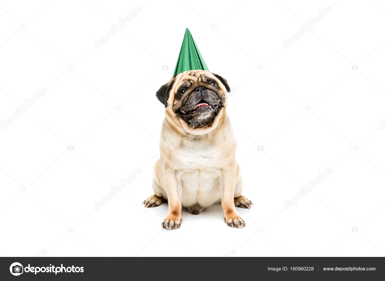 Dog in party hat — Stock Photo © AllaSerebrina #160960228