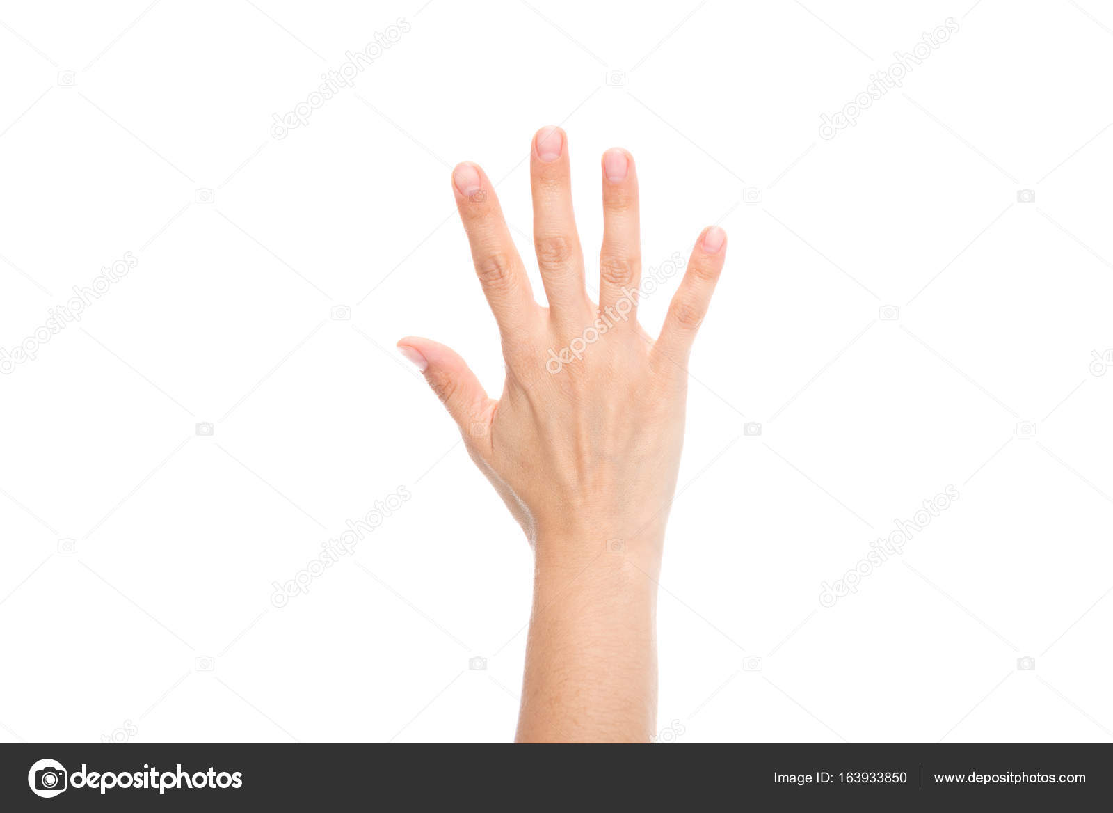 Hand — Stock Photo © AllaSerebrina #163933850