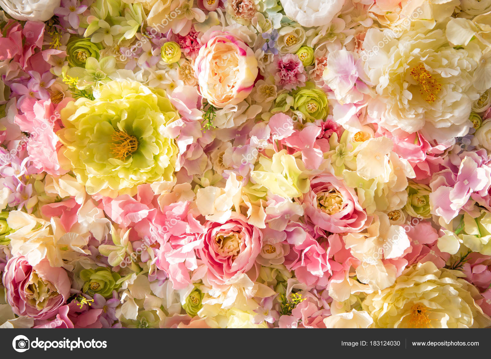 Beautiful Floral Background Tender Flowers Stock Photo by ...