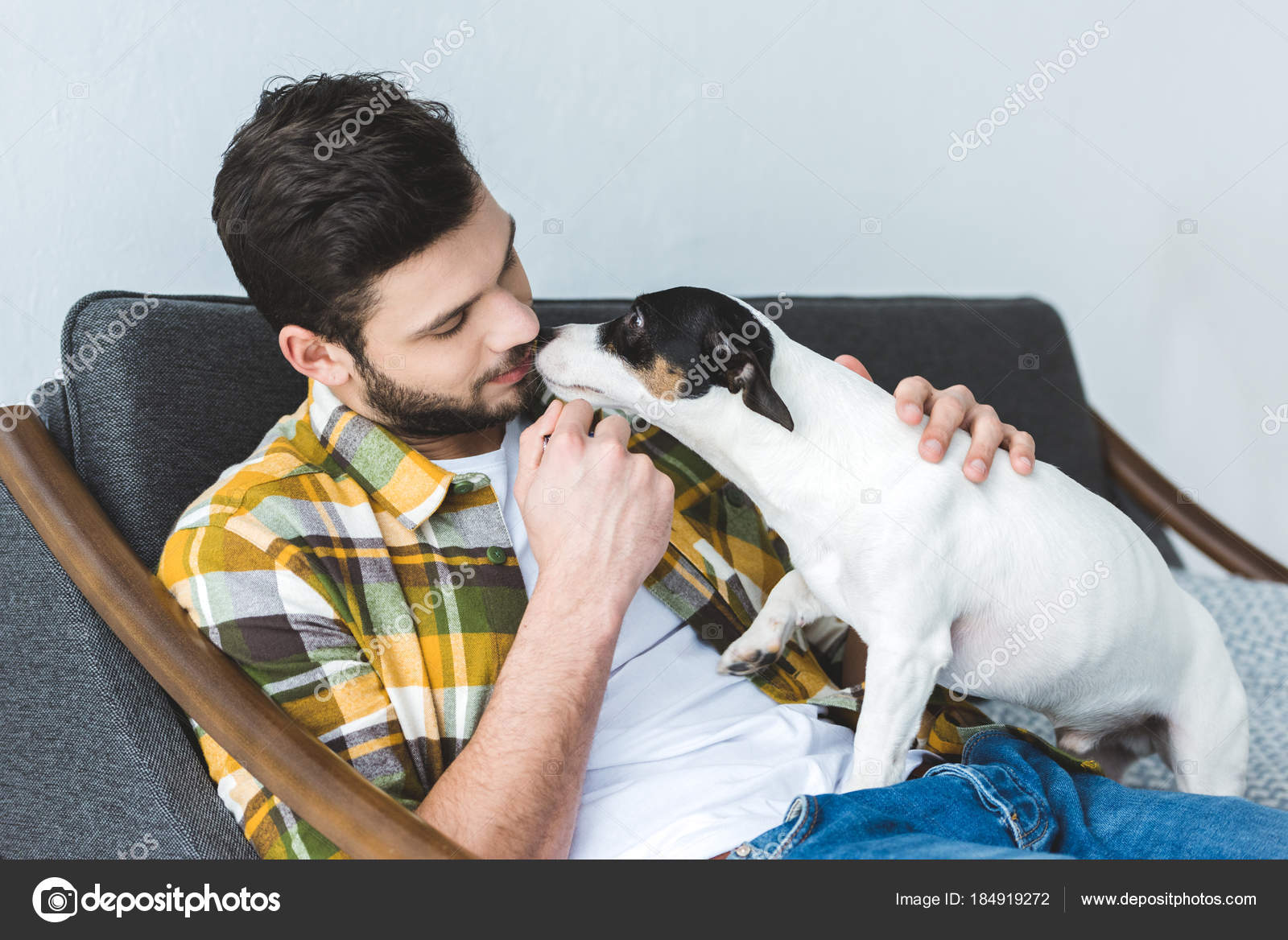 Handsome Man Jack Russell Terrier Dog Sitting Sofa Home — Stock Photo ...