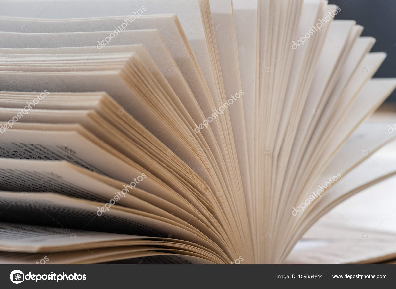 Old pages of book — Stock Photo © EdZbarzhyvetsky #159654844