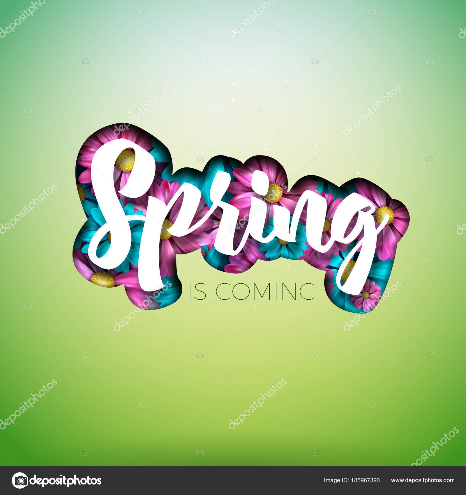Spring nature design with beautiful colorful flower on clean background ...