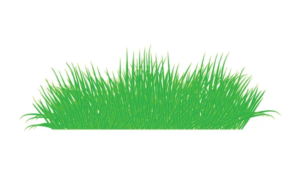 Çimen çizimi Vector Art Stock Images | Depositphotos