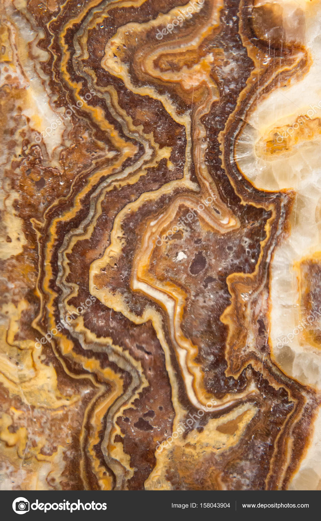 Calcareous sinter from Italy Stock Photo by ©vladislavgajic 158043904